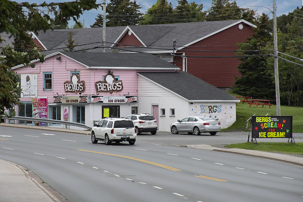 Berg's Famous Ice Cream